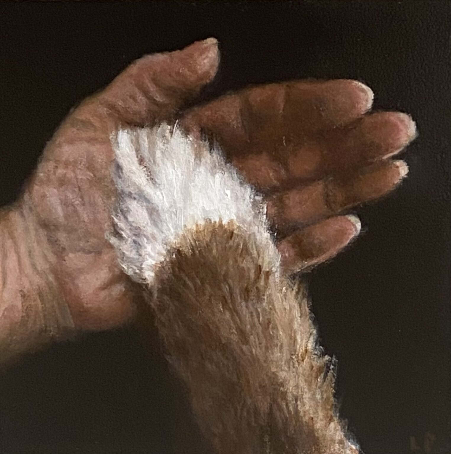 Paint Kindness, Gentleness, Love ® – Paintings that Capture Moments ...
